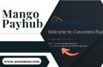 Mango Payhub: Simplifying Online Payments - How It Works